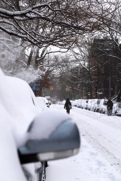 White bean soup with swiss chard | Pickled Plum