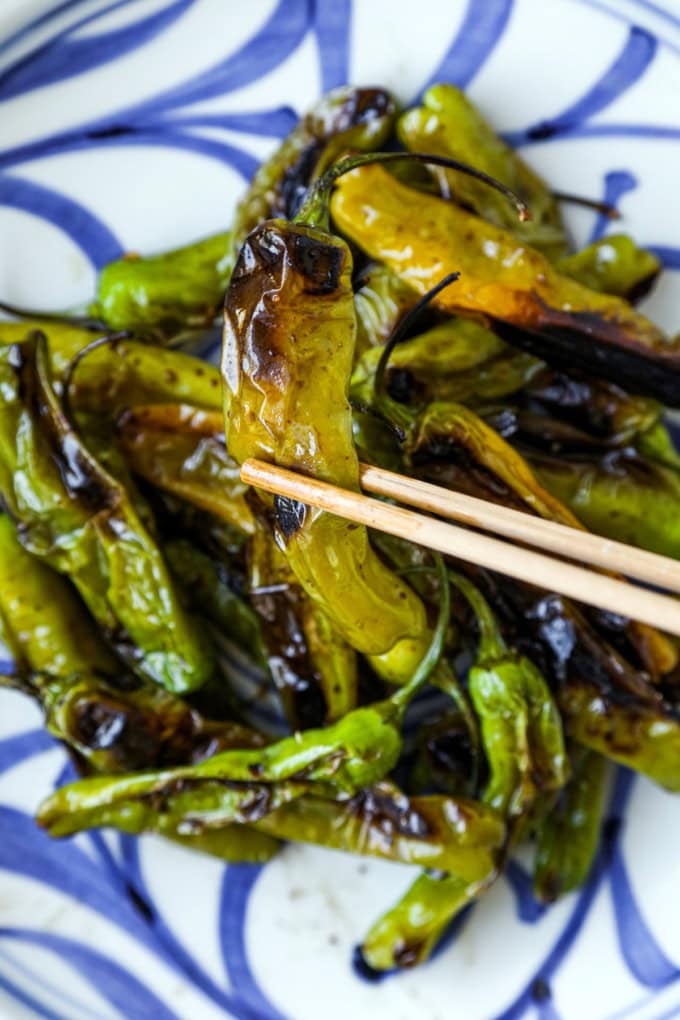 Blistered Shishito Peppers | Pickled Plum