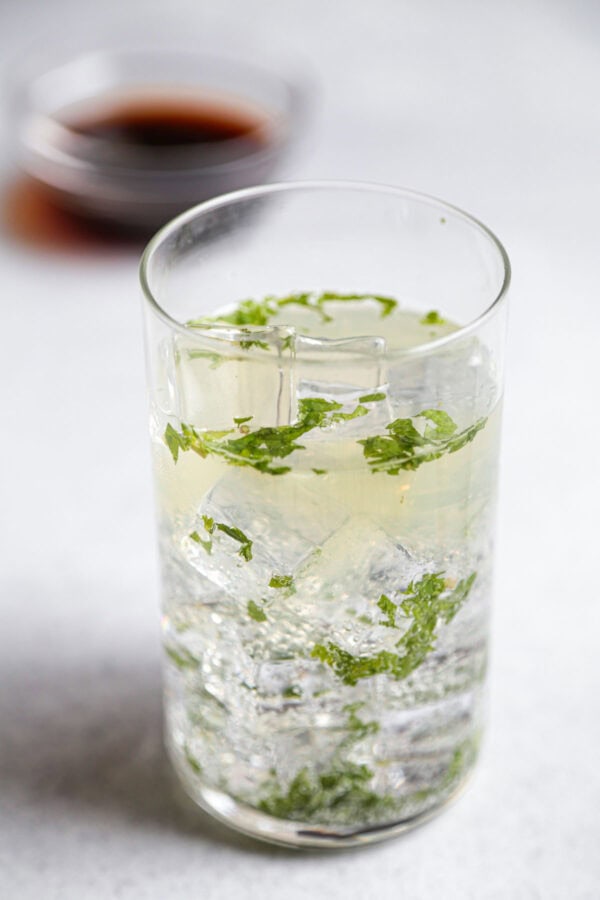 Lemonade Espresso Tonic | Pickled Plum